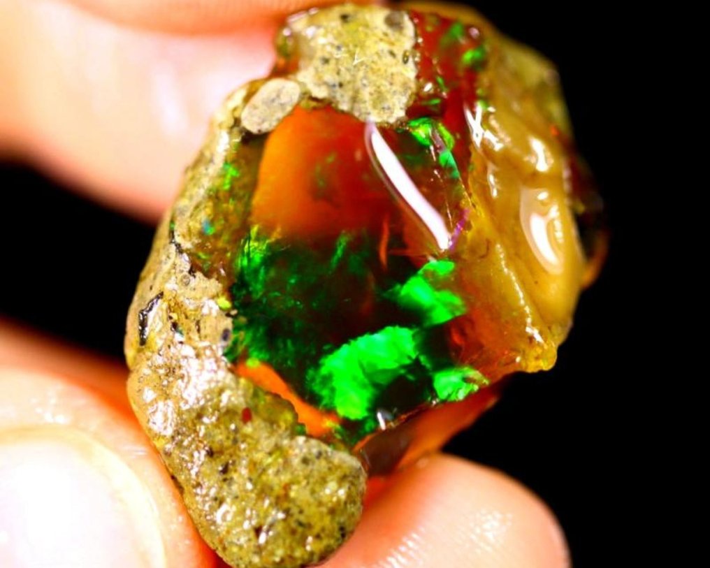 CALITATEA MUZEULUI Cristal Brut Welo Opal Forest Growth 19 Carate