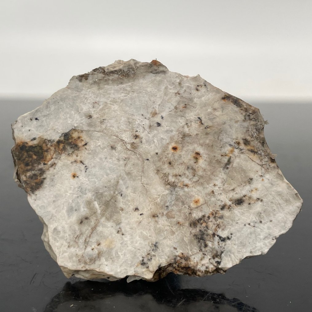 AUBRITE DJOUA 001, EXTREMELY RARE Meteorite Achondrite, - 10.5 g - Catawiki
