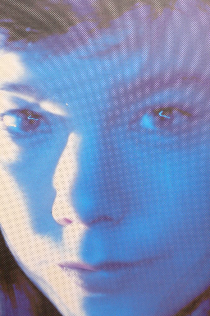 Björk - Telegram - LP - LP Cover Signed by photographer Araki - LP ...