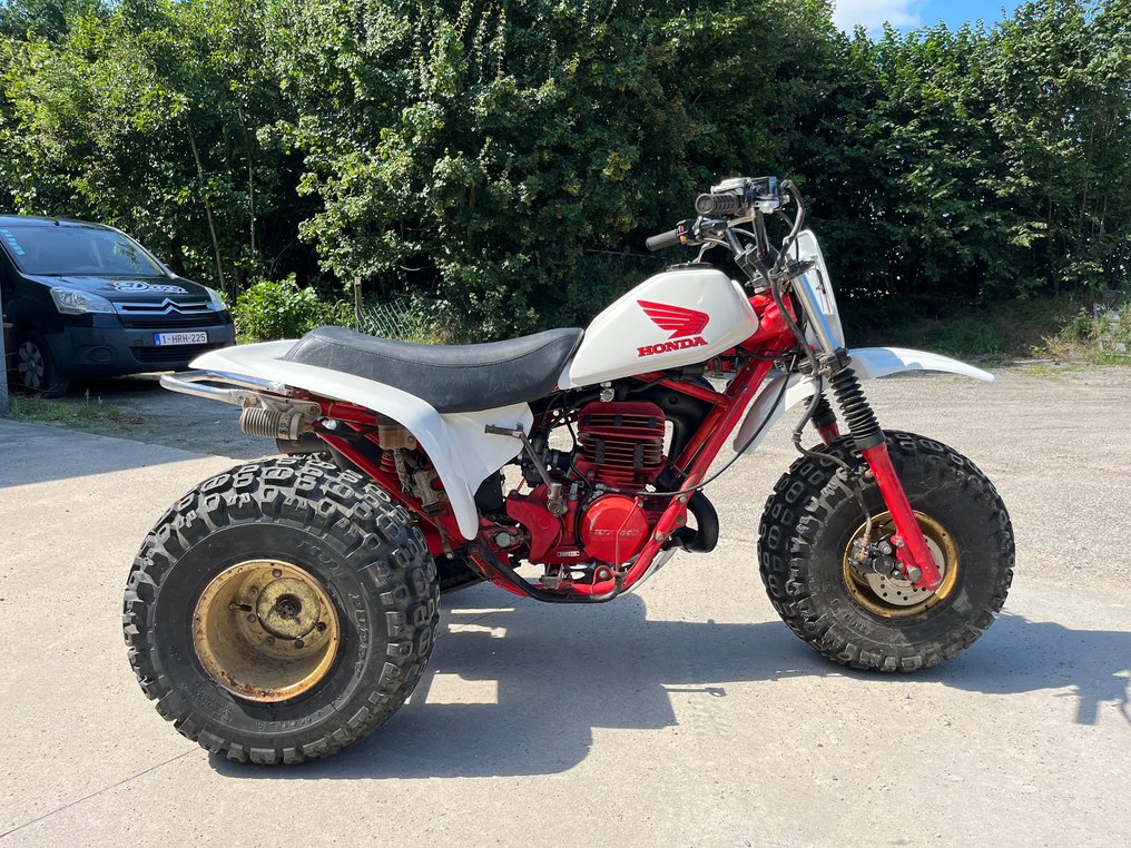 Honda trike 250 store