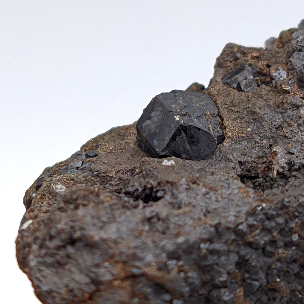 Rara MELANITE, Granato NERO dalla Sardegna Cristalli su matrice ...