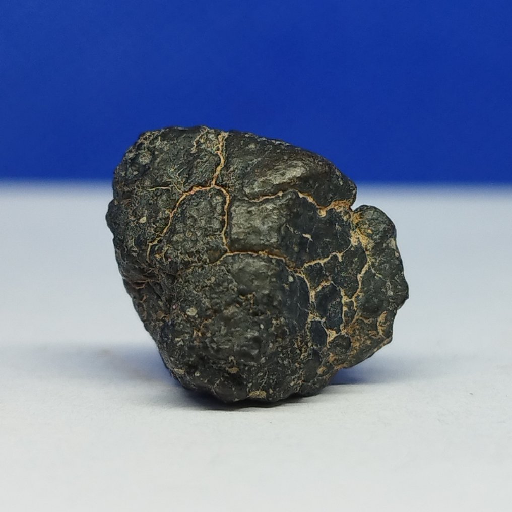 CM2 -Carbonaceous Chondrite- (like Murchison meteorite). NWA 15523 ...