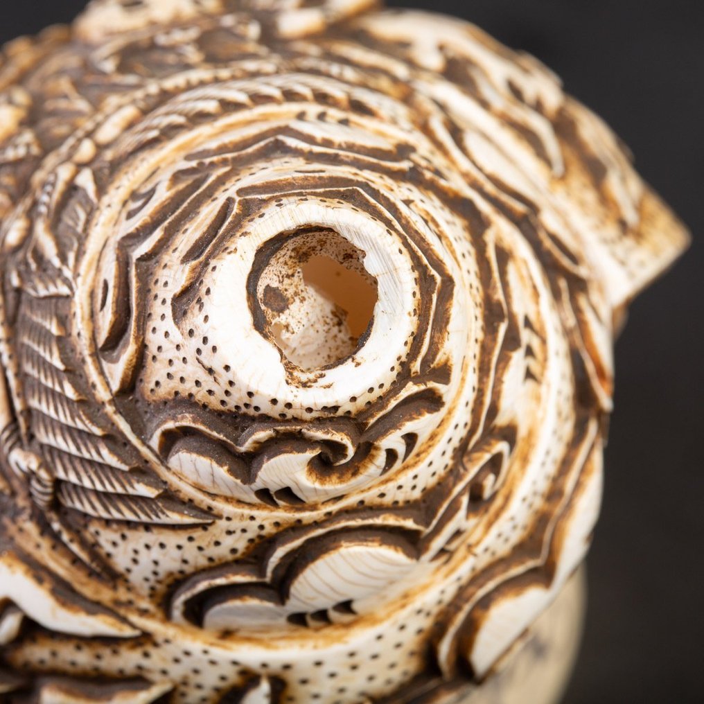 Antique Hindu Shankha Conch - Hand Carved Sea Shell Sea shell - Old ...