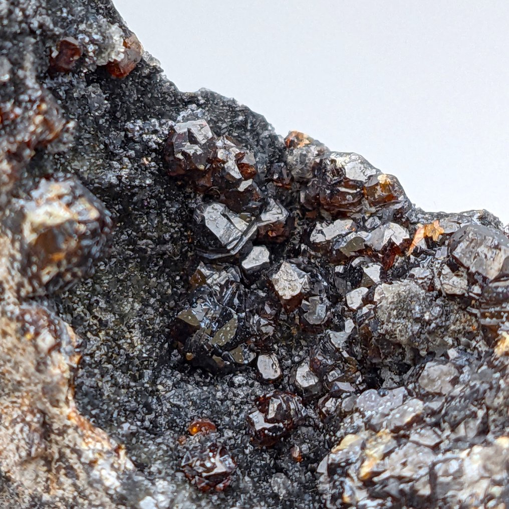 SFALERITE ROSSA FRANCESE, rara provenienza Cristalli su matrice - Altezza: 64 mm - Larghezza: 43 ...