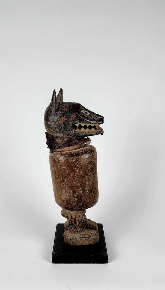 Kongo dog - DR Congo - auction online Catawiki