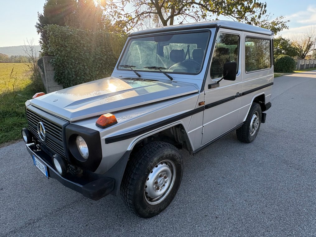 Mercedes-Benz - G 290 GD - 2002 - Catawiki
