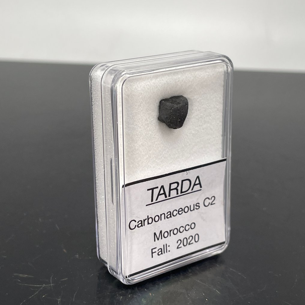 TARDA C2 ungrouped carbonaceous meteorite "SPECIAL" **"NO RESERVE PRICE ...