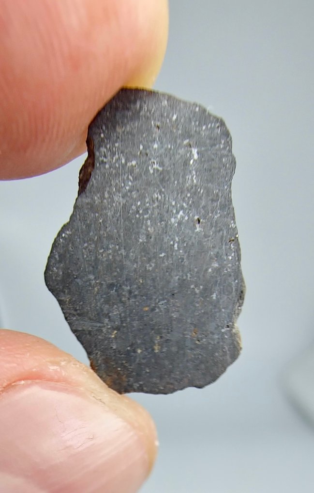 Free Shipping! Meteorite Plutonic Angrite, Rafsa 007. Very Rare, No ...