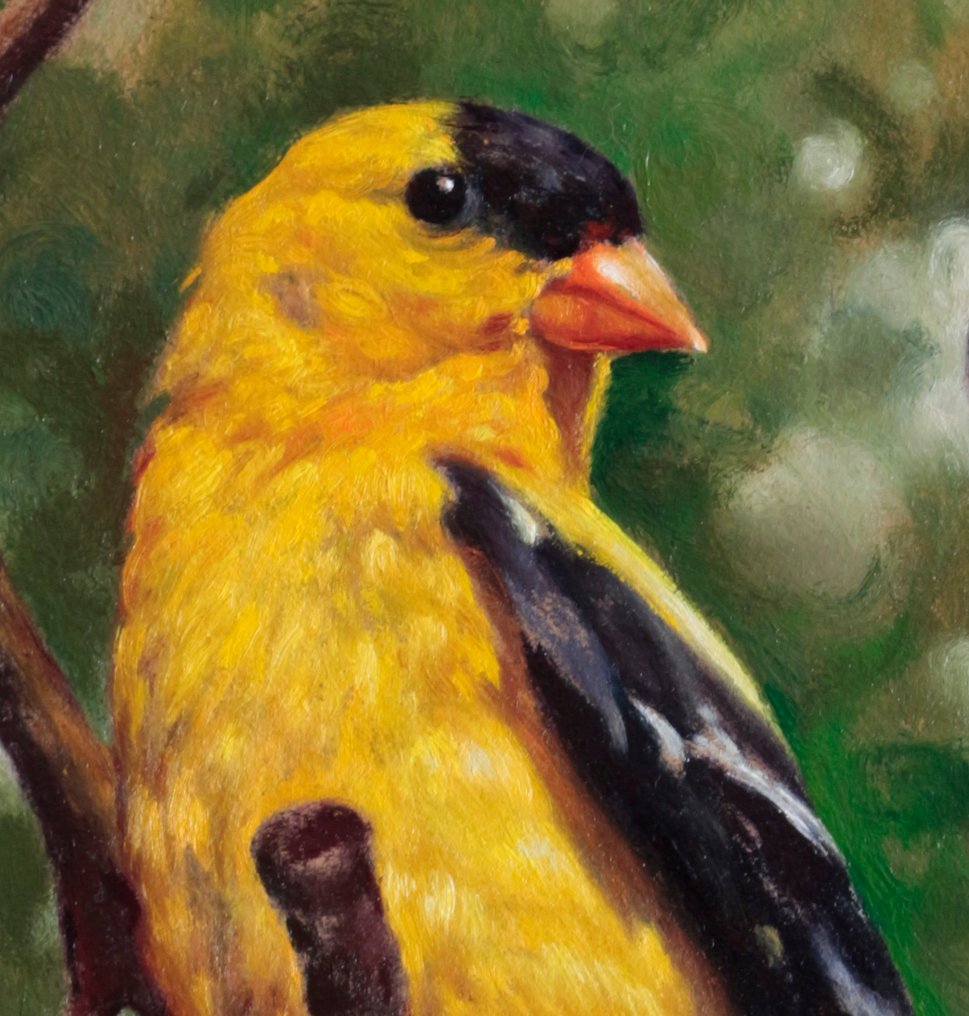 Giovanni Parlato (1957) - Cardellino giallo - auction online Catawiki