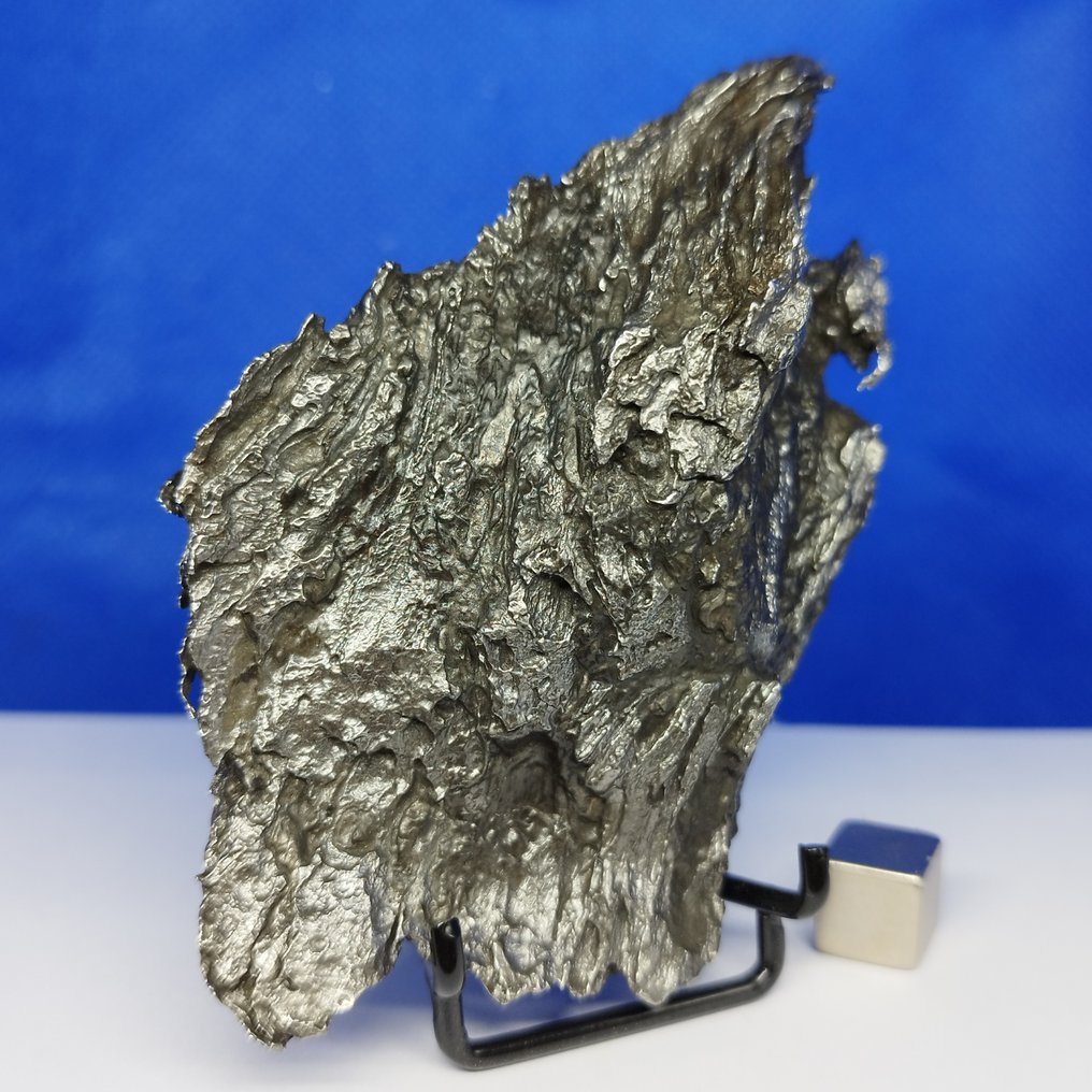 DRONINO (RUSSIA, 2000) Iron meteorite, ATAXITE. Clean & Stabilized. XL ...