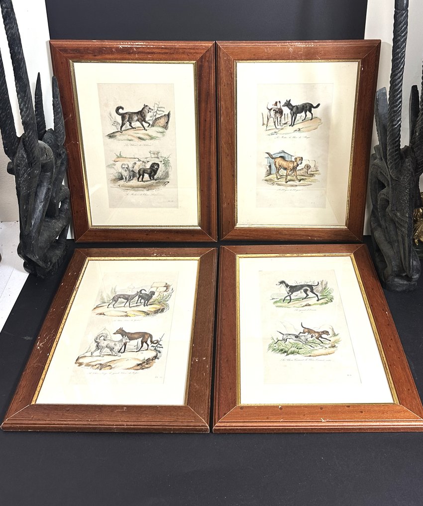 Decorative ornament (4) - France - The Buffon prints dogs - auction ...