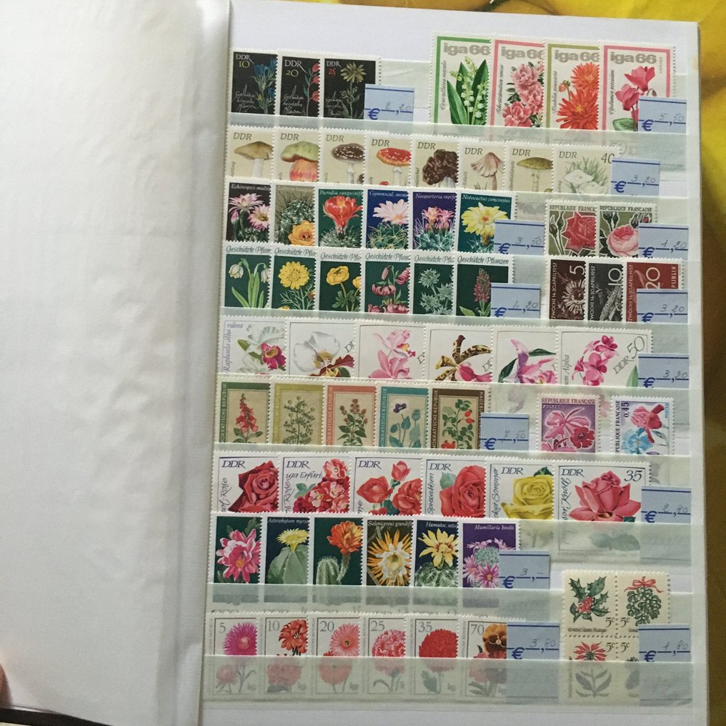 World - Lot of new stamps from all over the world, flora and fauna ...