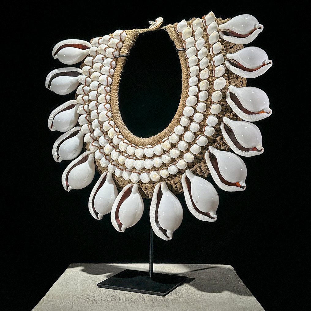 Decorative ornament - NO RESERVE PRICE - SN1 - Decorative Shell ...