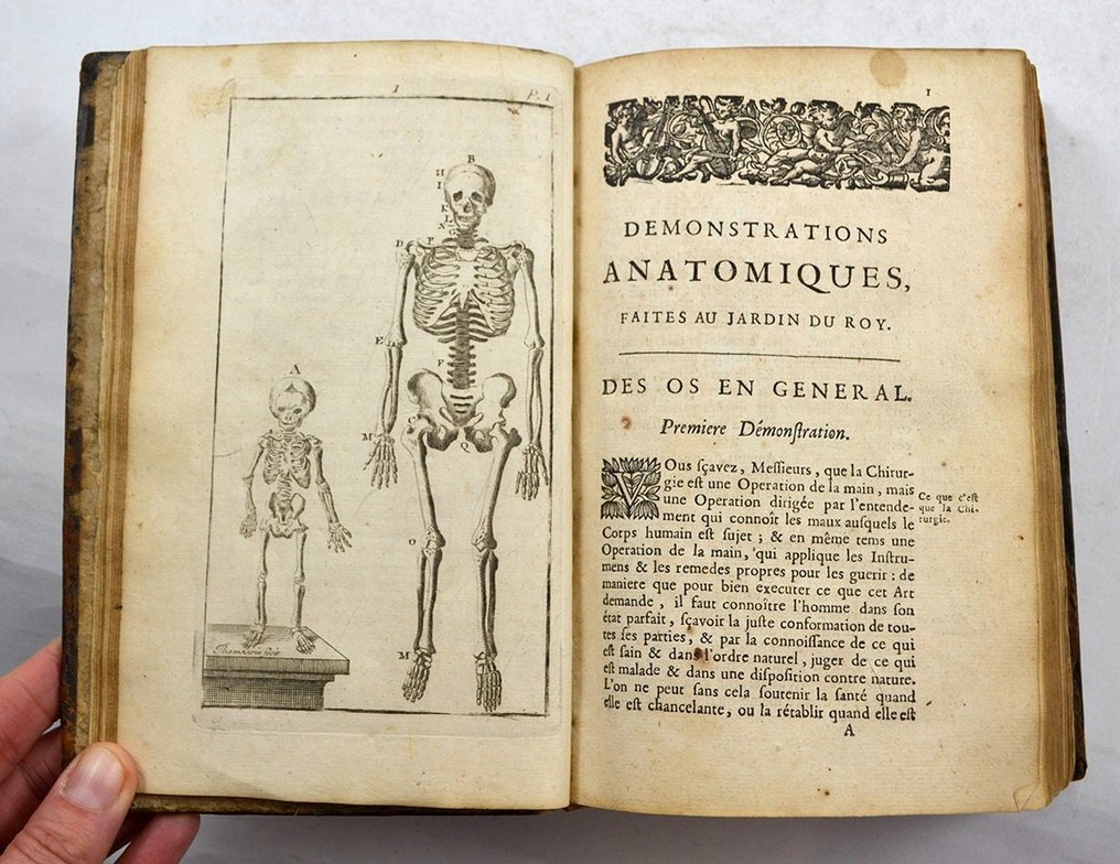 Pierre Dionis - L'anatomie de l'homme, suivant la circulation du sang ... Pierre Dionis - L'anatomie de l'homme, suivant la circulation du sang ...
