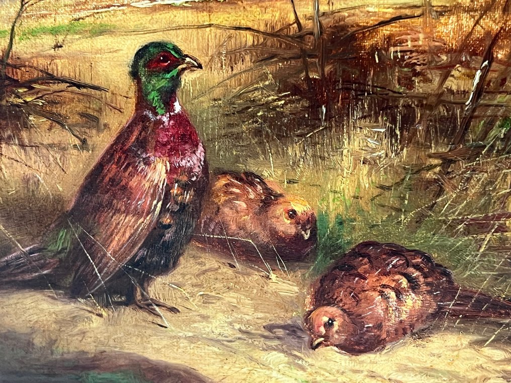 Robert Cleminson (act.1864-1903) - Flushing out pheasants - Catawiki