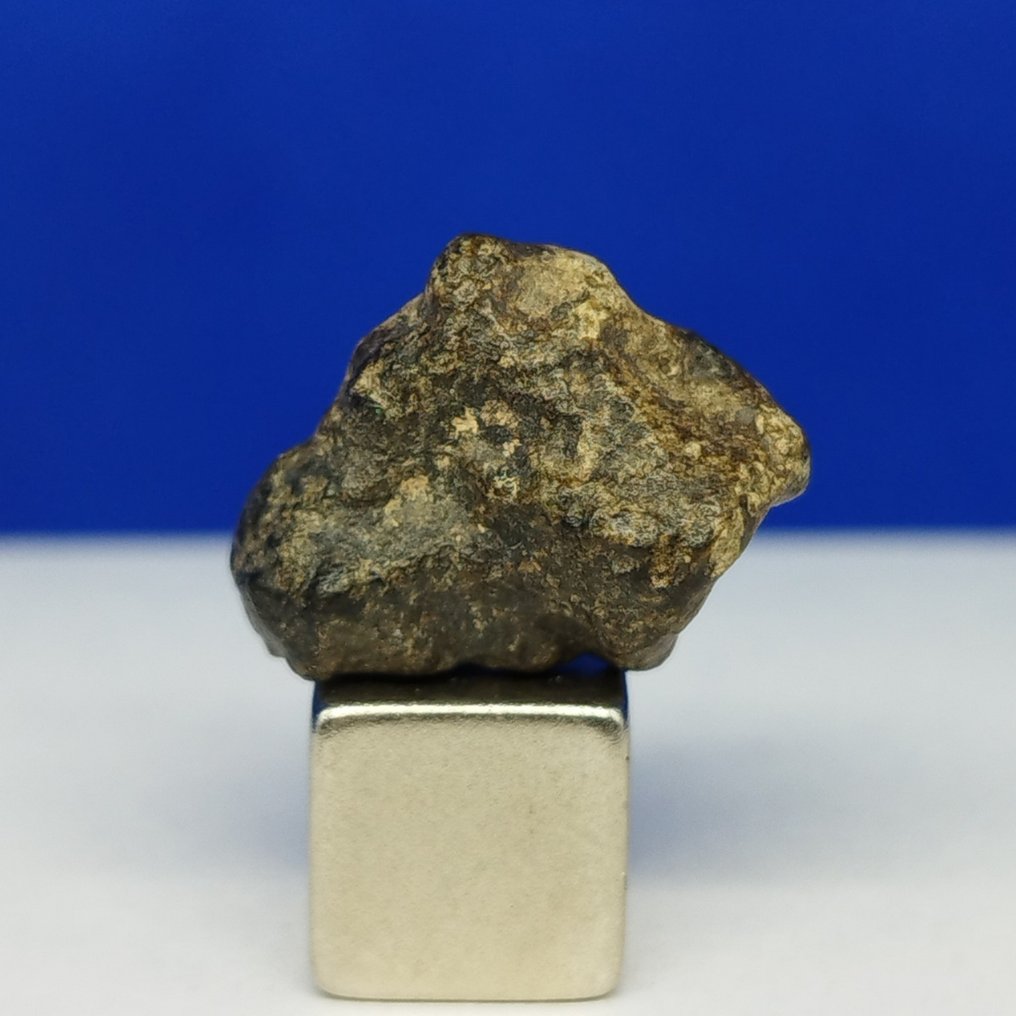 XL Authentic MARTIAN METEORITE! Amgala 001 (Sahara, 2022). A piece of ...
