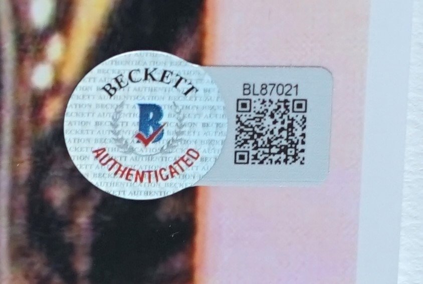 Winger - Rod Morgenstein - Autograph, Photo with Beckett COA - Catawiki