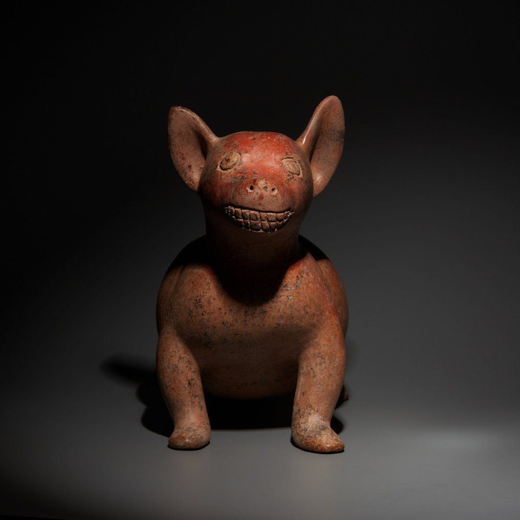 Colima, Western Mexico Terracotta Dog Figure. 200 BC - 200 AD. 30 cm L ...
