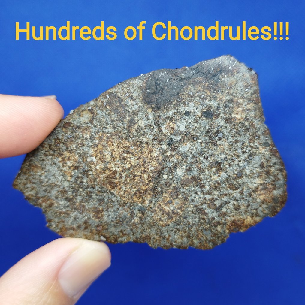 Meteorite Chondrite NWA 869 (Sahara, 2000). Hundreds of chondrules ...
