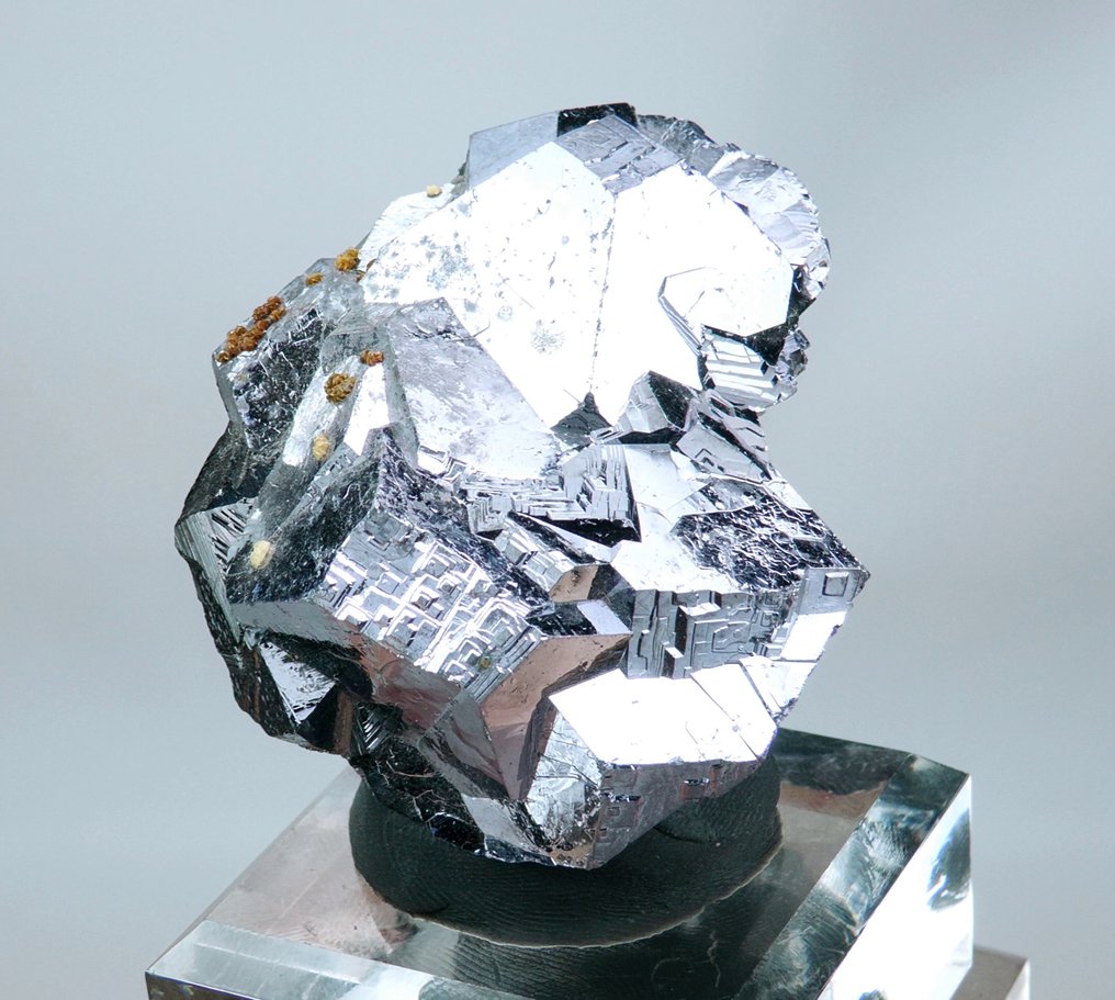 Galena - Miniera di Trepca Stan Trg, Kosovo - Altezza: 5.3 cm ...