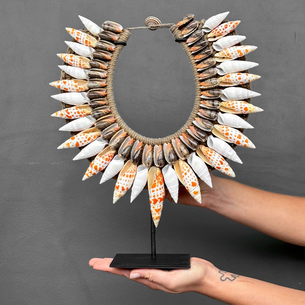 Decorative ornament - NO RESERVE PRICE - SN11 - Decorative Shell ...