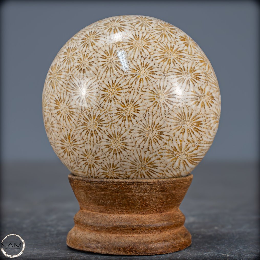 Fossil Coral Sphere Australia- 324.09 g - auction online Catawiki