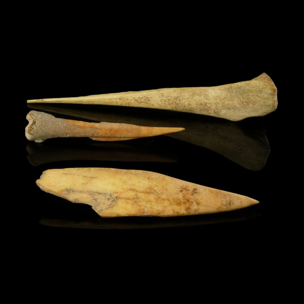 Neolithic Bone Tools - auction online Catawiki
