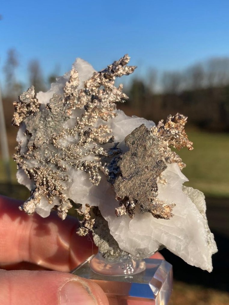 Dyscrasite native silver Crystals on matrix - Height: 8 cm - Width: 6 cm- 87 g - (1) - auction ...