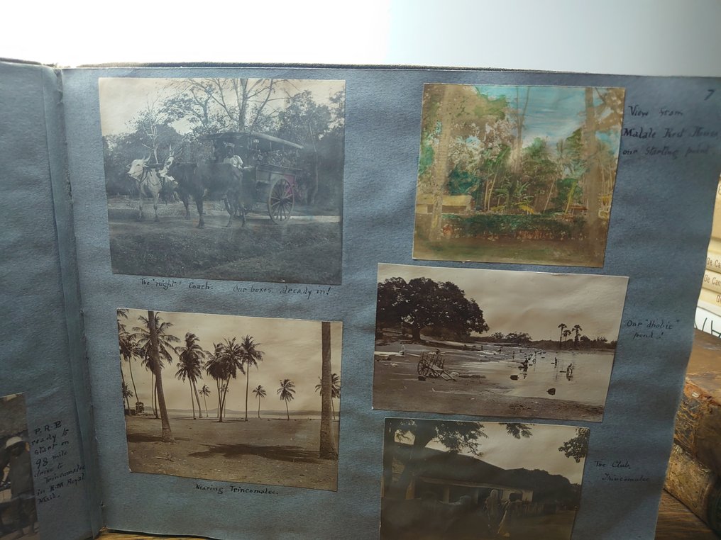 Anonyme - Album photographies. Ceylan, Sri Lanka. 1920 - Catawiki