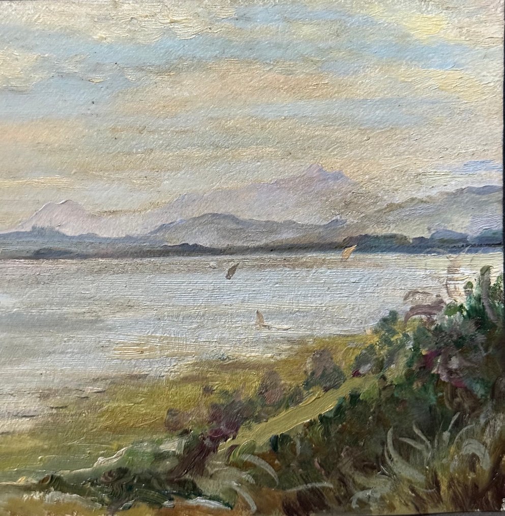 Italian school (XIX) - Veduta dei Campi Flegrei - auction online Catawiki