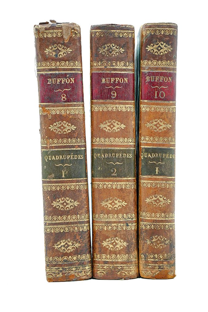 Georges‑Louis Leclerc de Buffon & M. Le Baron Cuvier - Histoire ...