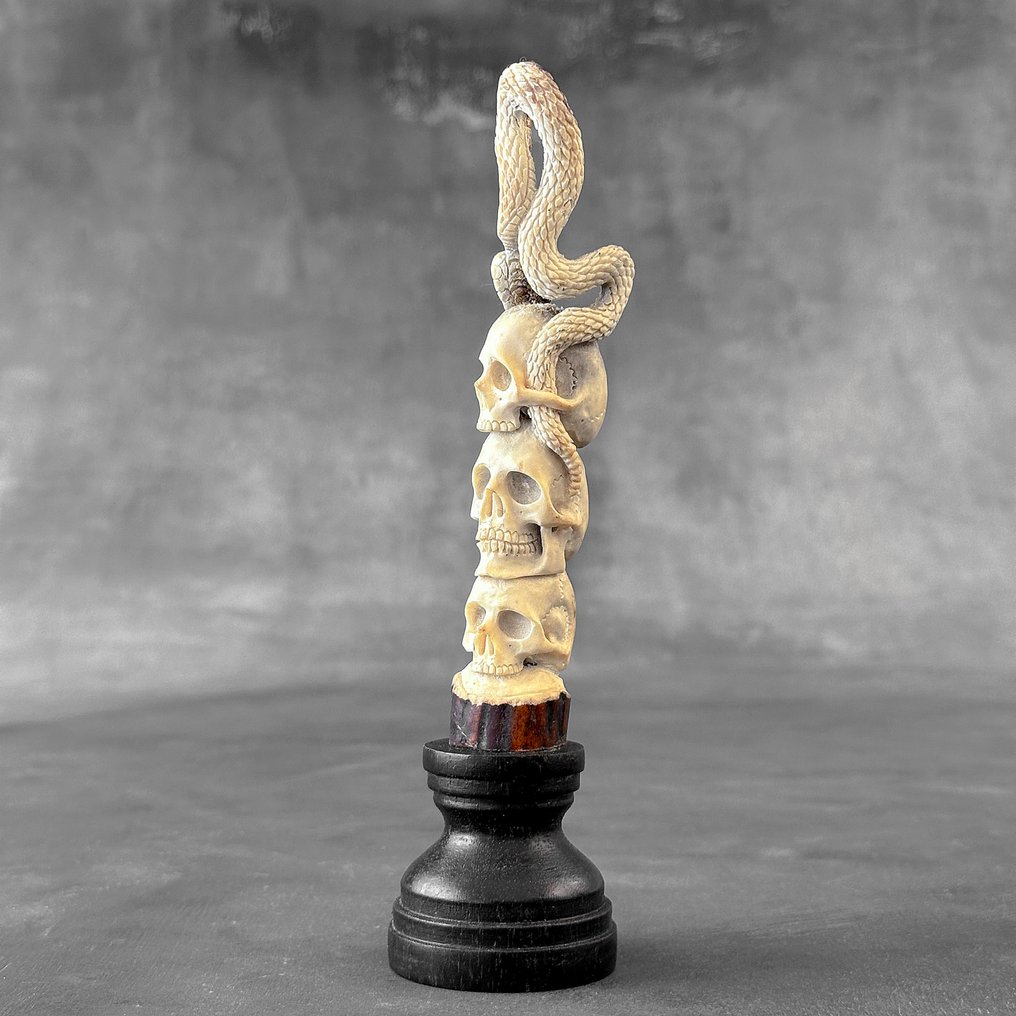 Carving, NO RESERVE PRICE - Human skulls & snake carving from deer ...