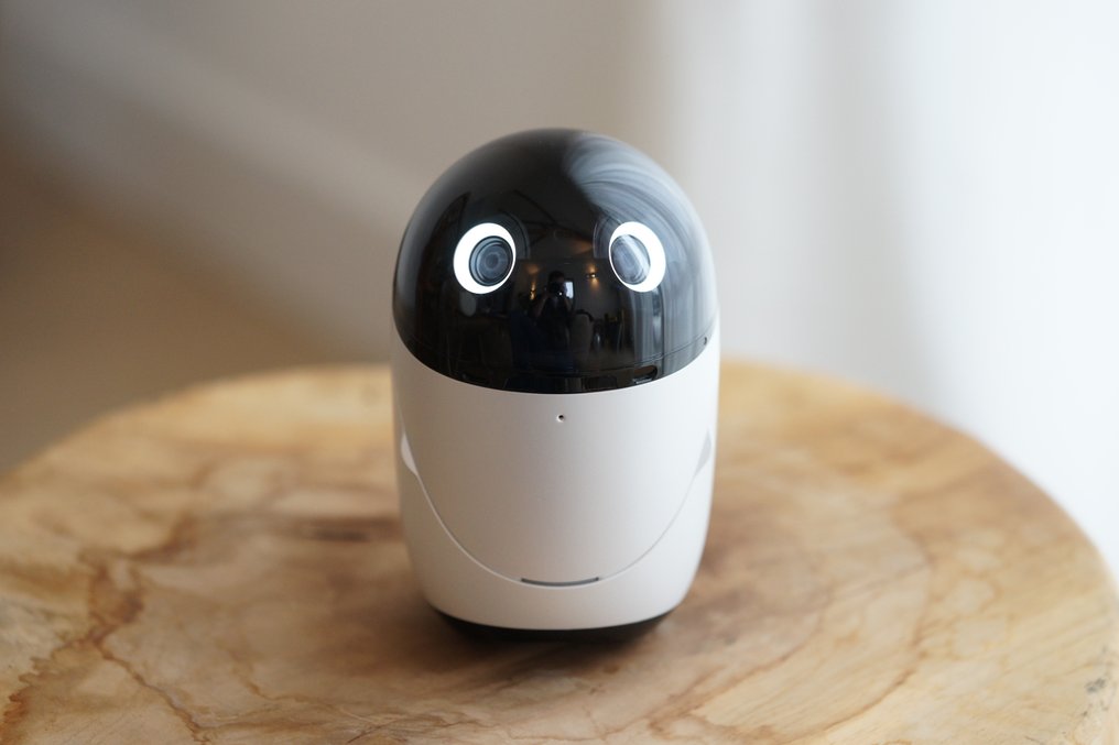 SONY - Toy robot POIQ | CER-1000 - 2020+ - auction online Catawiki