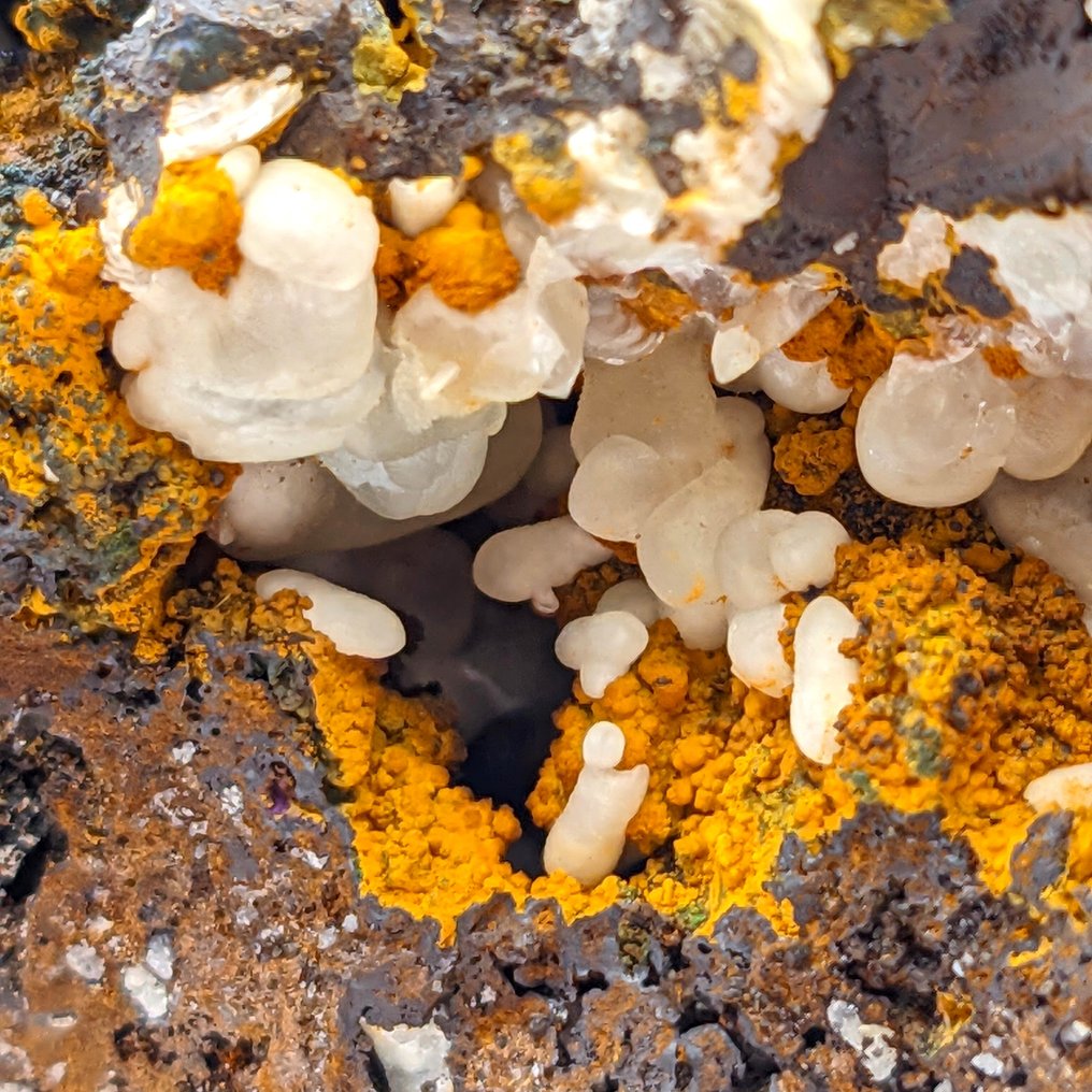 GOCCE di SMITHSONITE in GEODE di GOETHITE e LIMONITE Geode - Altezza ...