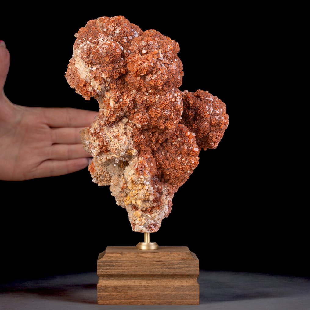 Star Aragonite from Morocco – Crystalline Wonders of the Earth. - Height: 255 mm - Width: 170 mm ...