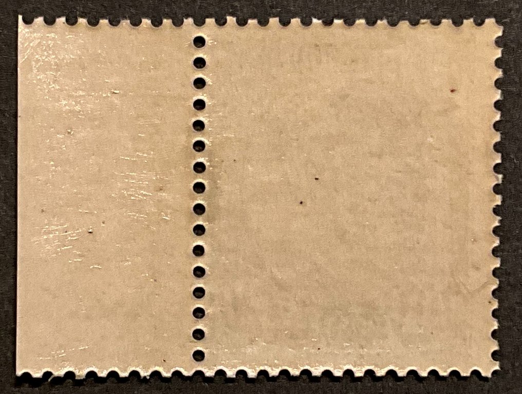 België 1884/1891 - Leopold II Profiel naar links - 20c Olijf op groenachtig - POSTFRIS met ...