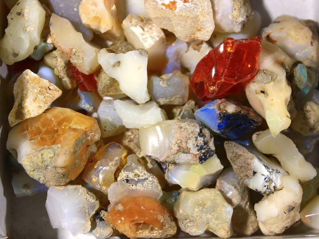 Cts. 500.00 Ethiopian Wello Opals - Rough- 100 g - auction online Catawiki