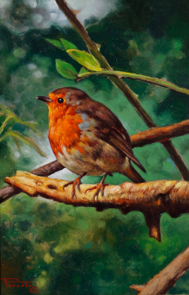 Giovanni Parlato (1957) - Pettirosso - auction online Catawiki