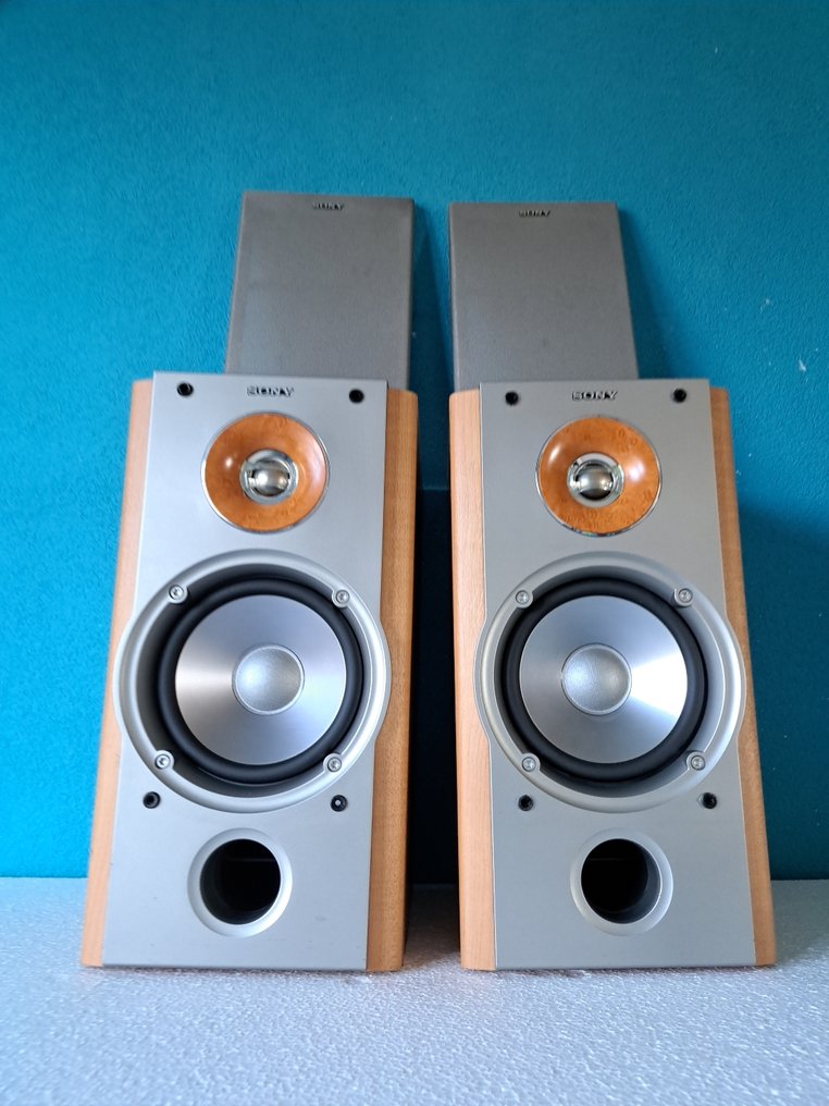 Sony - SS-NX1 Speaker set - auction online Catawiki