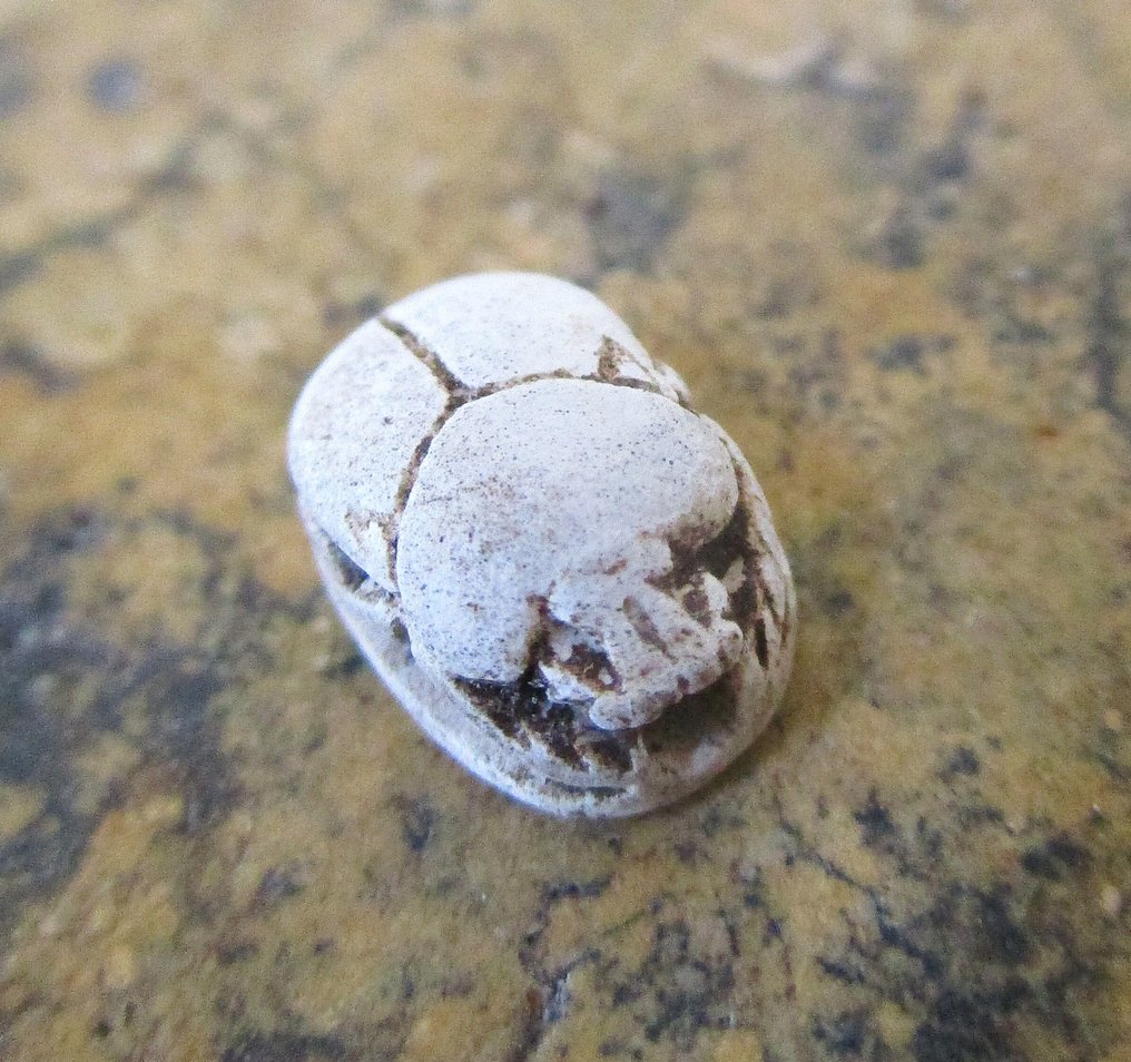 Ancient Egypt, Late Period Stone Stone Scarab Faience Amulet 664-332 B ...