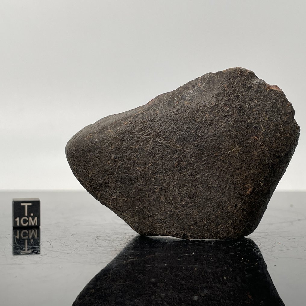 METEORITE ORIENTÉE type H, Lignes de vol et croûte de fusion QUALITÉ ...