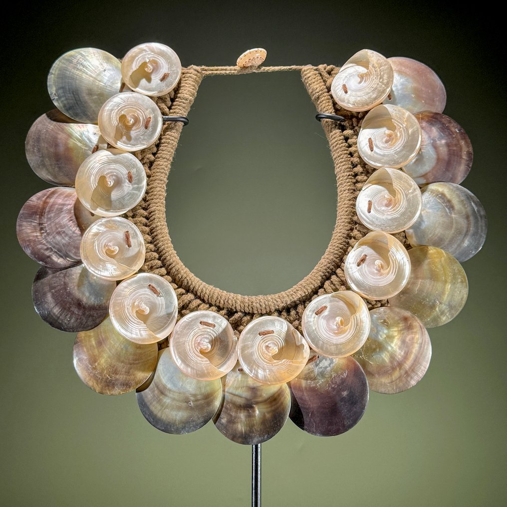 Decorative ornament - NO RESERVE PRICE - SN5 - Decorative shell ...