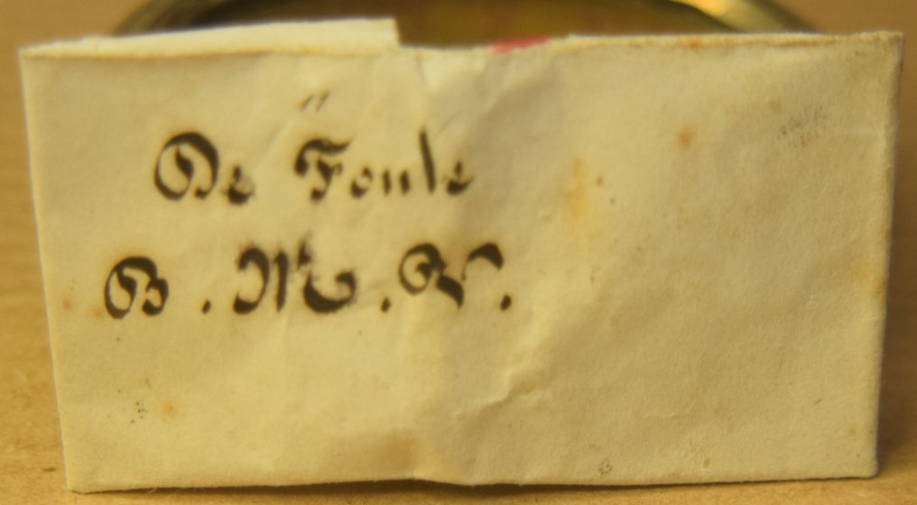 Relic - Paper - Rare Busta Reliquary in paper containing a fragment of ...