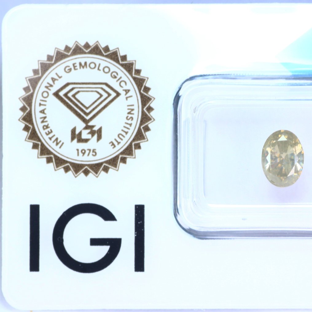 1 pcs Diamond (Natural) - 1.00 ct - Cushion - SI2 - International Gemological Institute (IGI ...