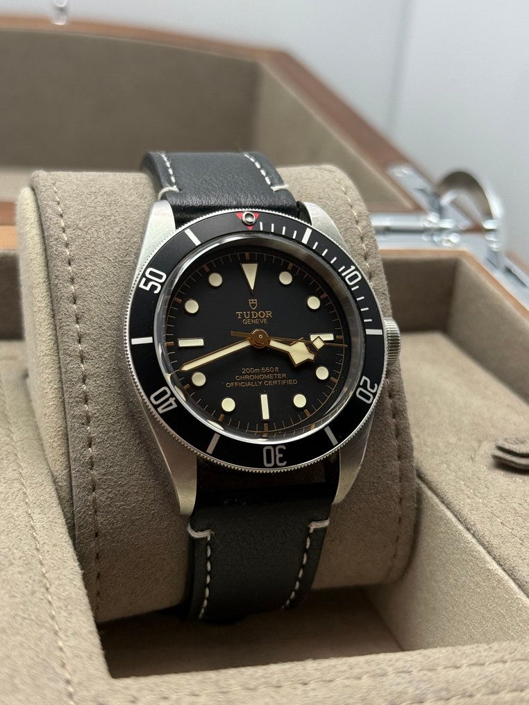 Tudor - Black Bay - 79230 - Men - 2022 - auction online Catawiki