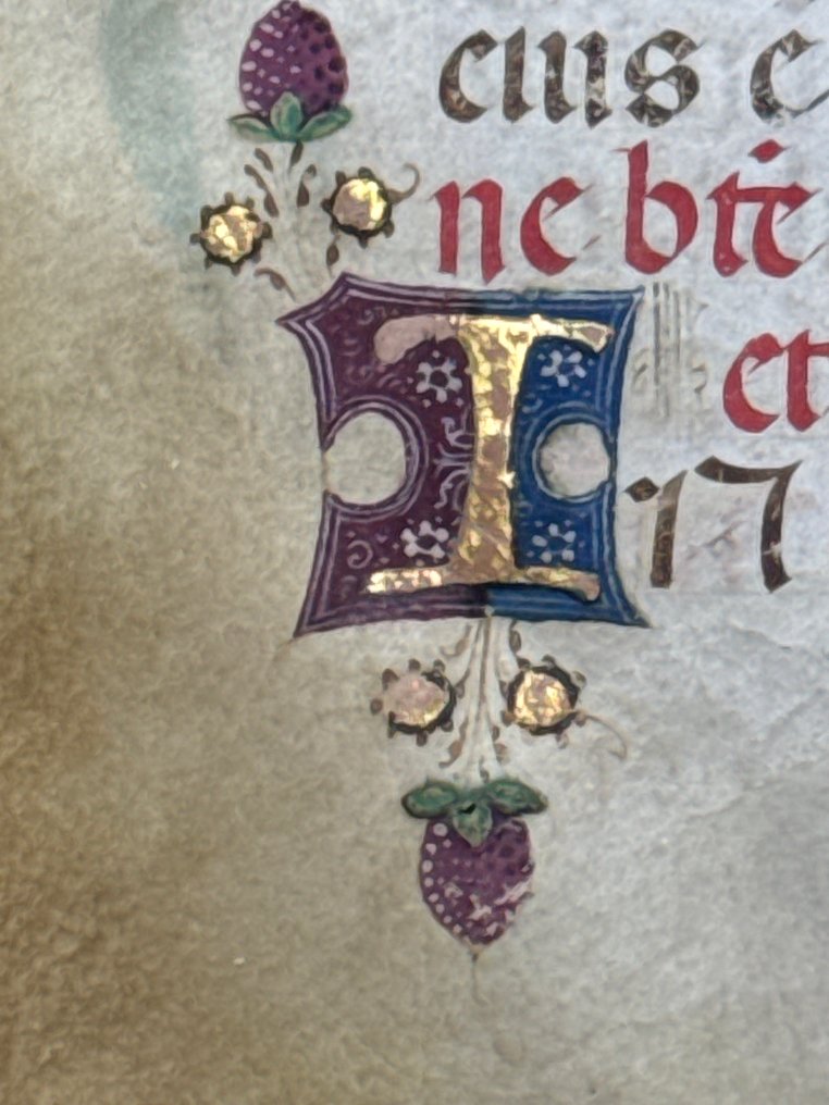 Italian scriptorium of the Middle Ages - Breviary illuminated leaf on ...