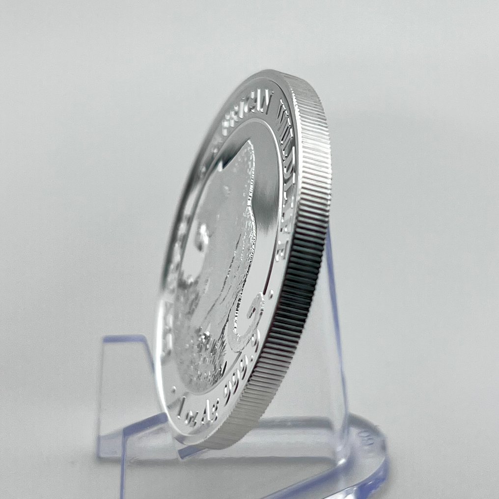 Global. 2023–2025 – Set of 3 × 1 oz Silver Coins – Congo “World's Wildlife Lion” • Somalia ...