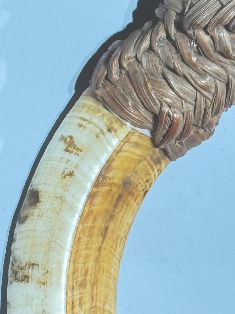 1950’s Status object Chief of the Dani people - Mountain area Dani ...