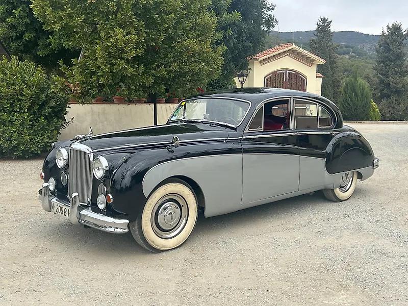 Cantante de autos clasicos a la Venta en Subasta Online