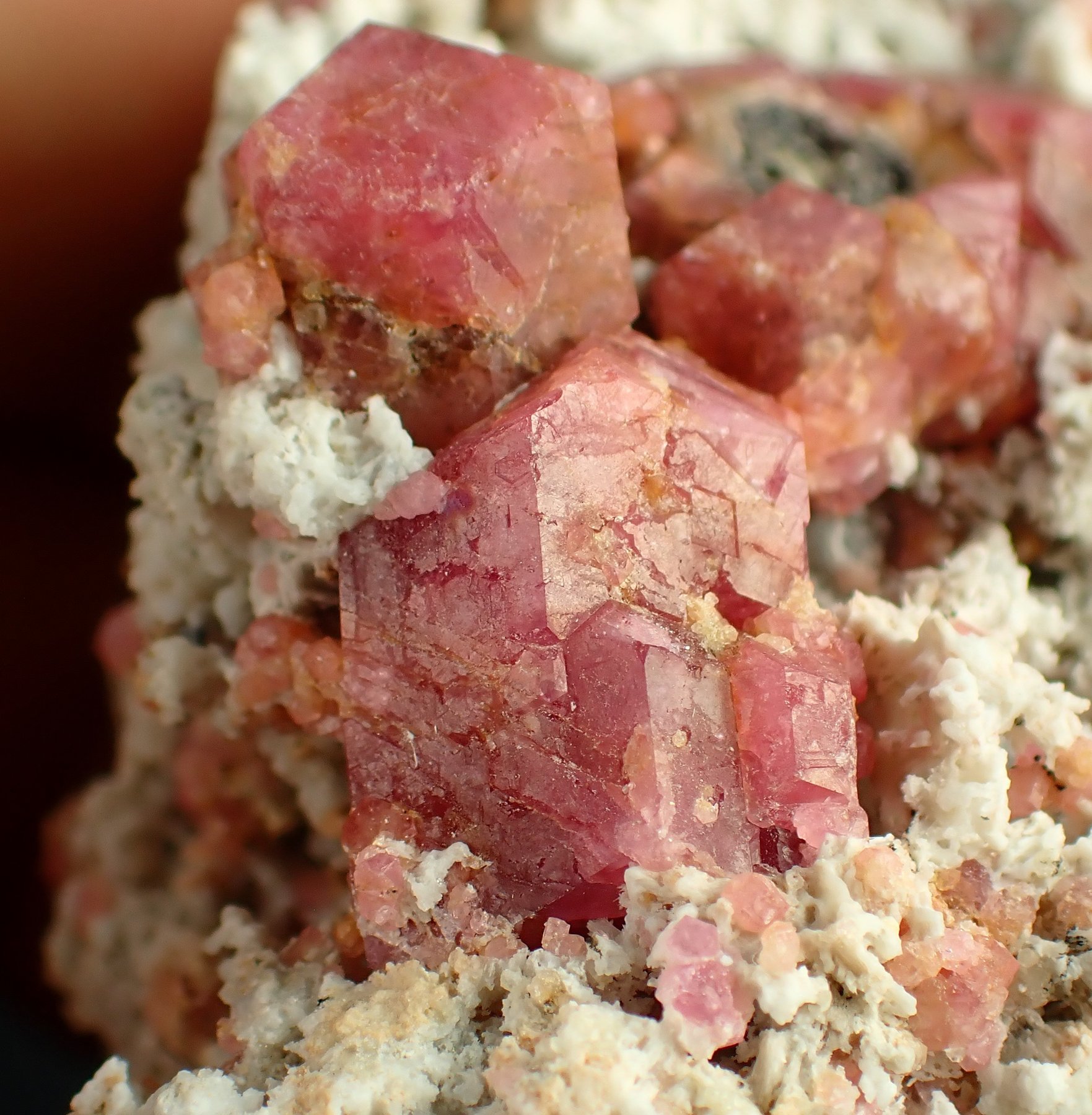 Rare Pink Grossular var. Rosolite Crystals on matrix - - Catawiki